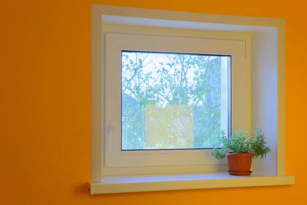Single leaf windows - price from manufacturer Dostawaokien