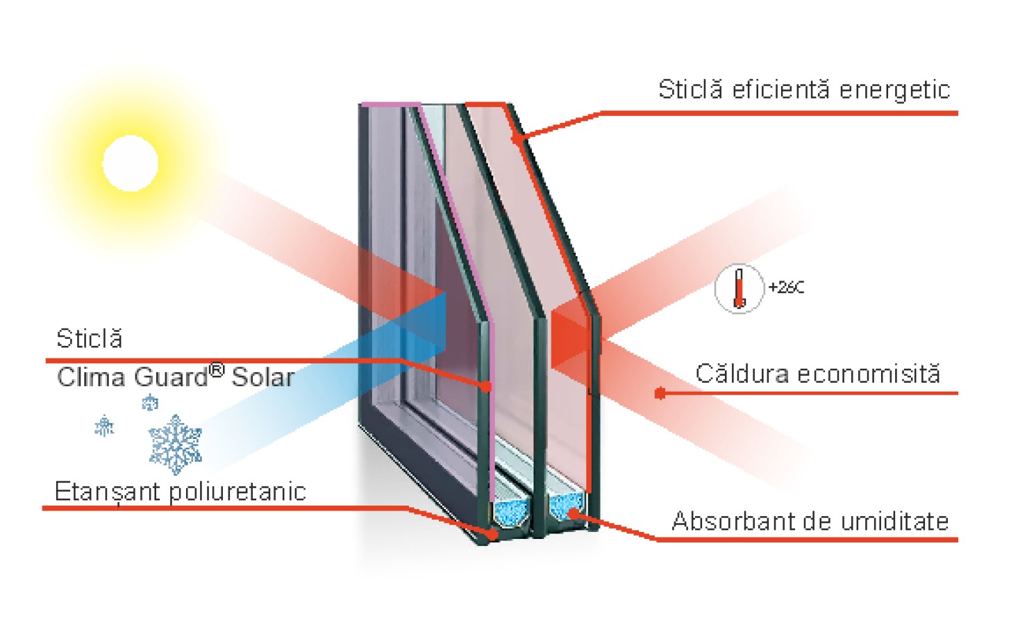 Uși termopane la comandă din PVC și aluminiu – prețuri avantajoase